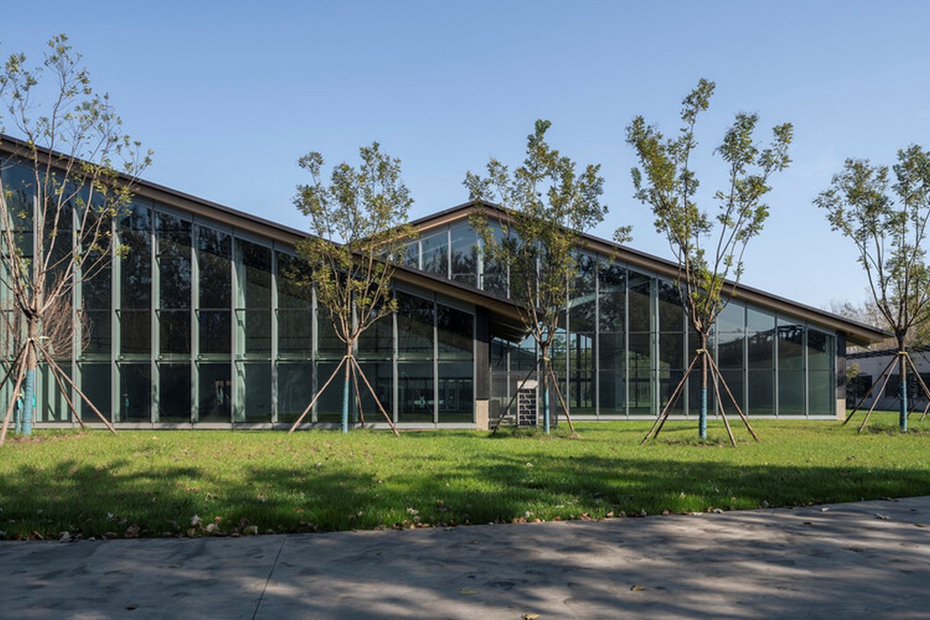 Revolutionizing Recreation Xiangfen Swimming Pool in Lin Fen Shi, China ...